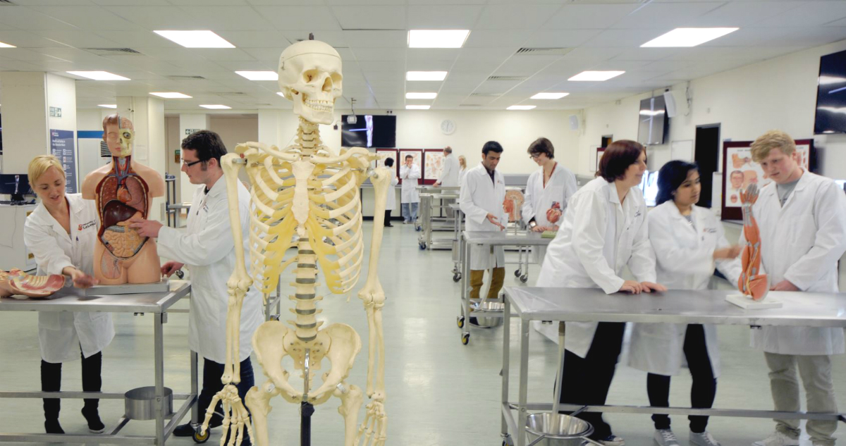 School Of Anatomy