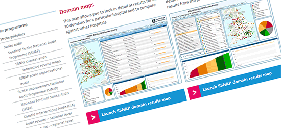 rcp-stroke-maps-500x | The Chartered Society of Physiotherapy